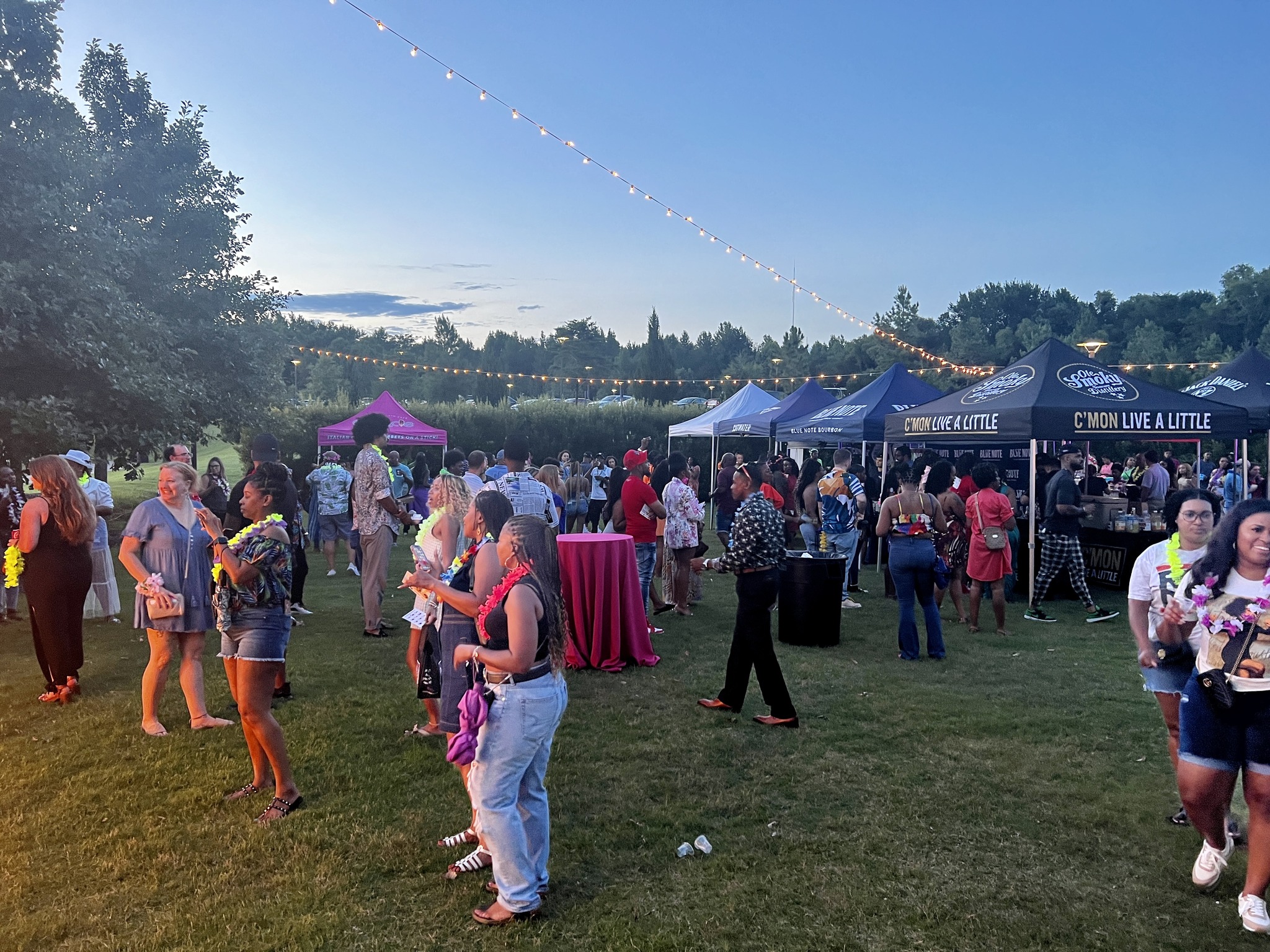 25+ Exciting Things To Do In July In Memphis | I Love Memphis Blog