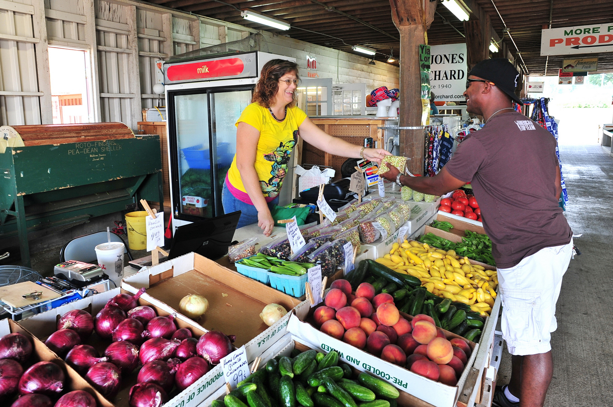 30+ Best Things To Do In Memphis This April | I Love Memphis Blog