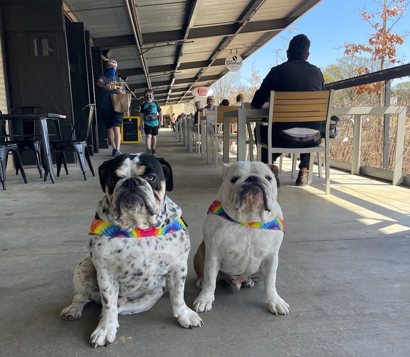 Dog Friendly Patios In Memphis | I Love Memphis