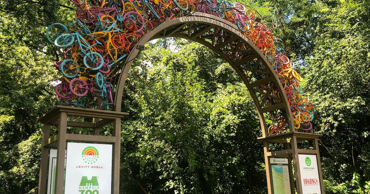 365 Things to Do in Memphis #74: Walk Through the Old Forest | I Love ...