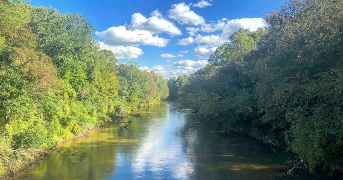 Favorite Place: Wolf River Pedestrian Bridge | I Love Memphis