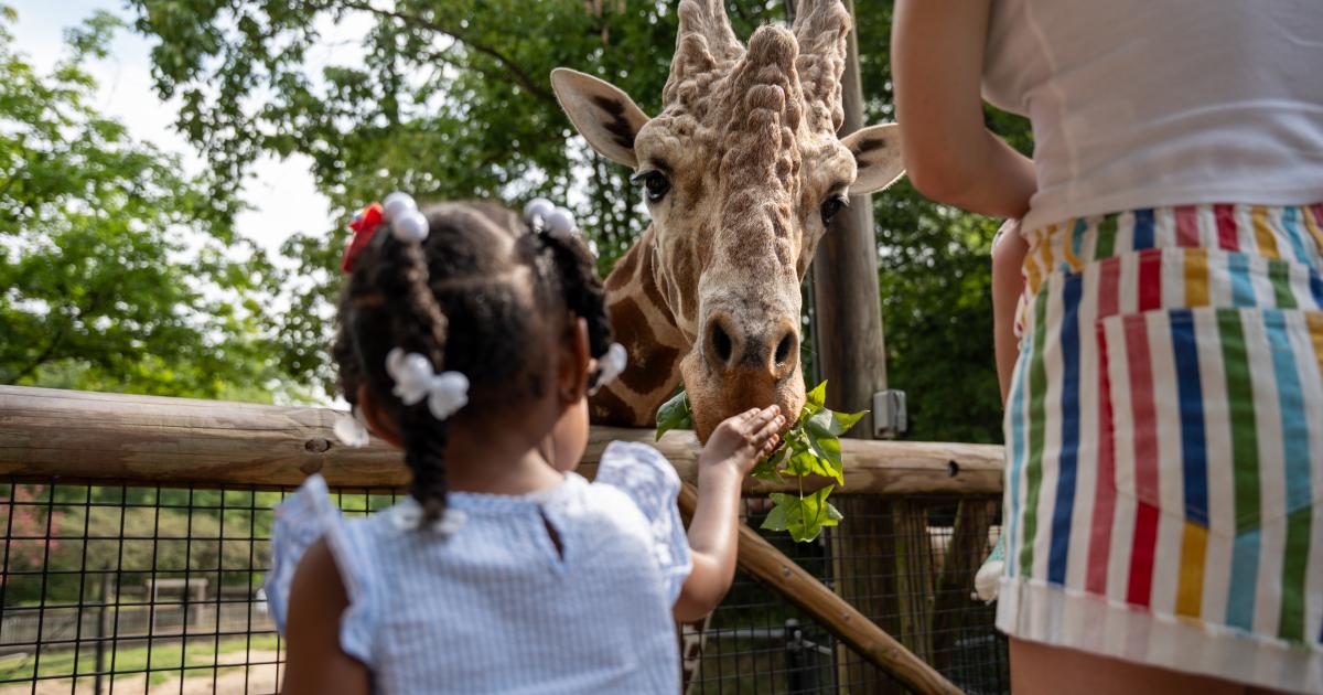 13 Kid-Friendly Spring Break Ideas in Memphis| I Love Memphis Blog