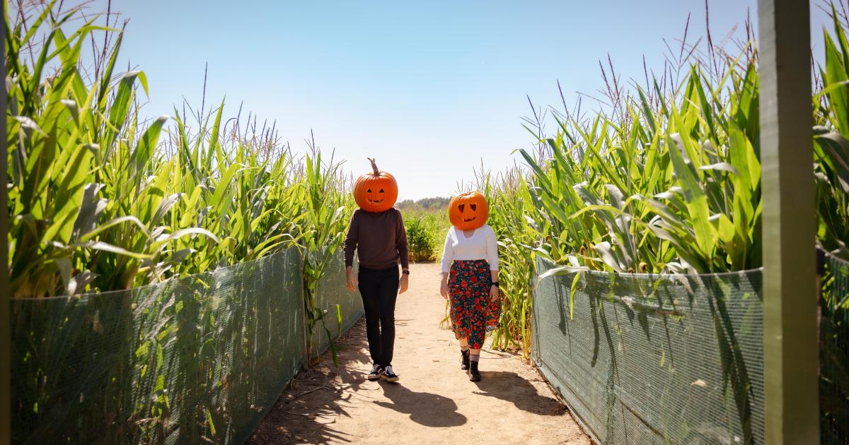 Get Lost in the Memphis Mid-South Maze | I Love Memphis Blog
