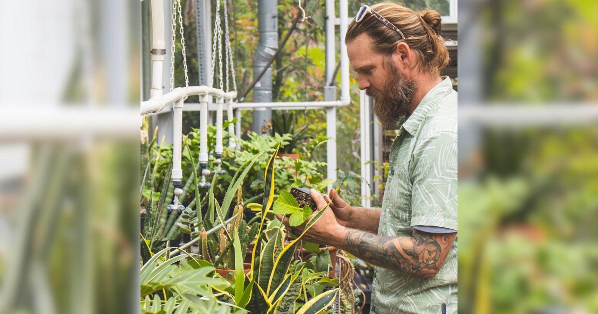 Munch and Learn | Bloom and Grow: The Science Behind Growing Cut ...