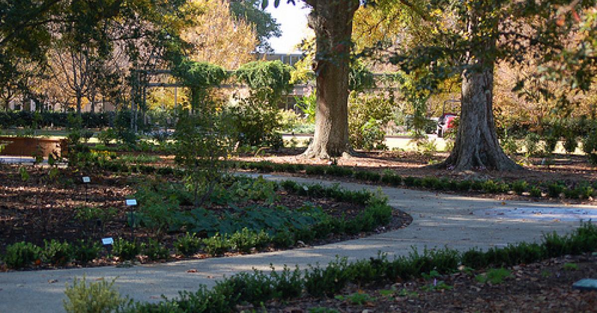 Explore The Herb Garden At Memphis Botanic Gardens | I Love Memphis