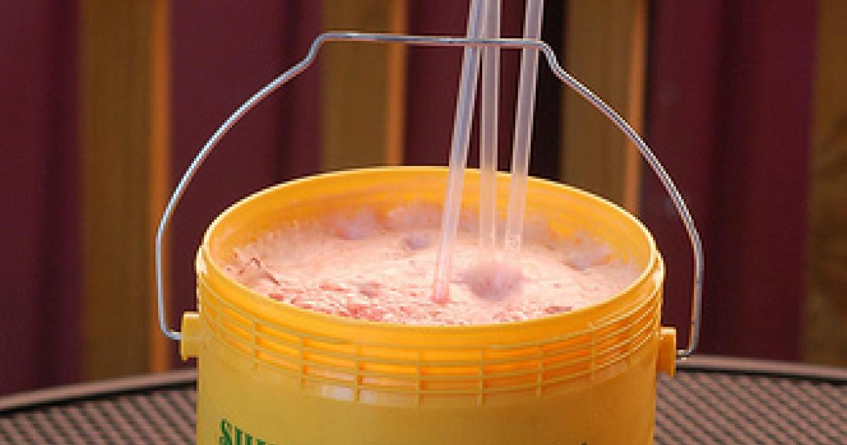 365 Things to Do in Memphis #97: Get Swimmy with a Diver Bucket | I ...